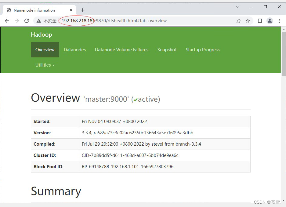 Hadoop集群测试笔记_finalshell中删除这个节点所有配置的命令是什么-CSDN博客