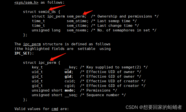 【Linux】System V IPC的简单理解-CSDN博客