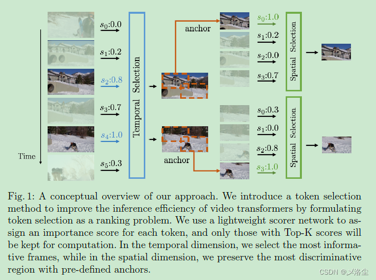 减小模型训练成本的视频动作识别 Efficient Video Transformers with Spatial-Temporal Token Selection 论文精读笔记-CSDN博客