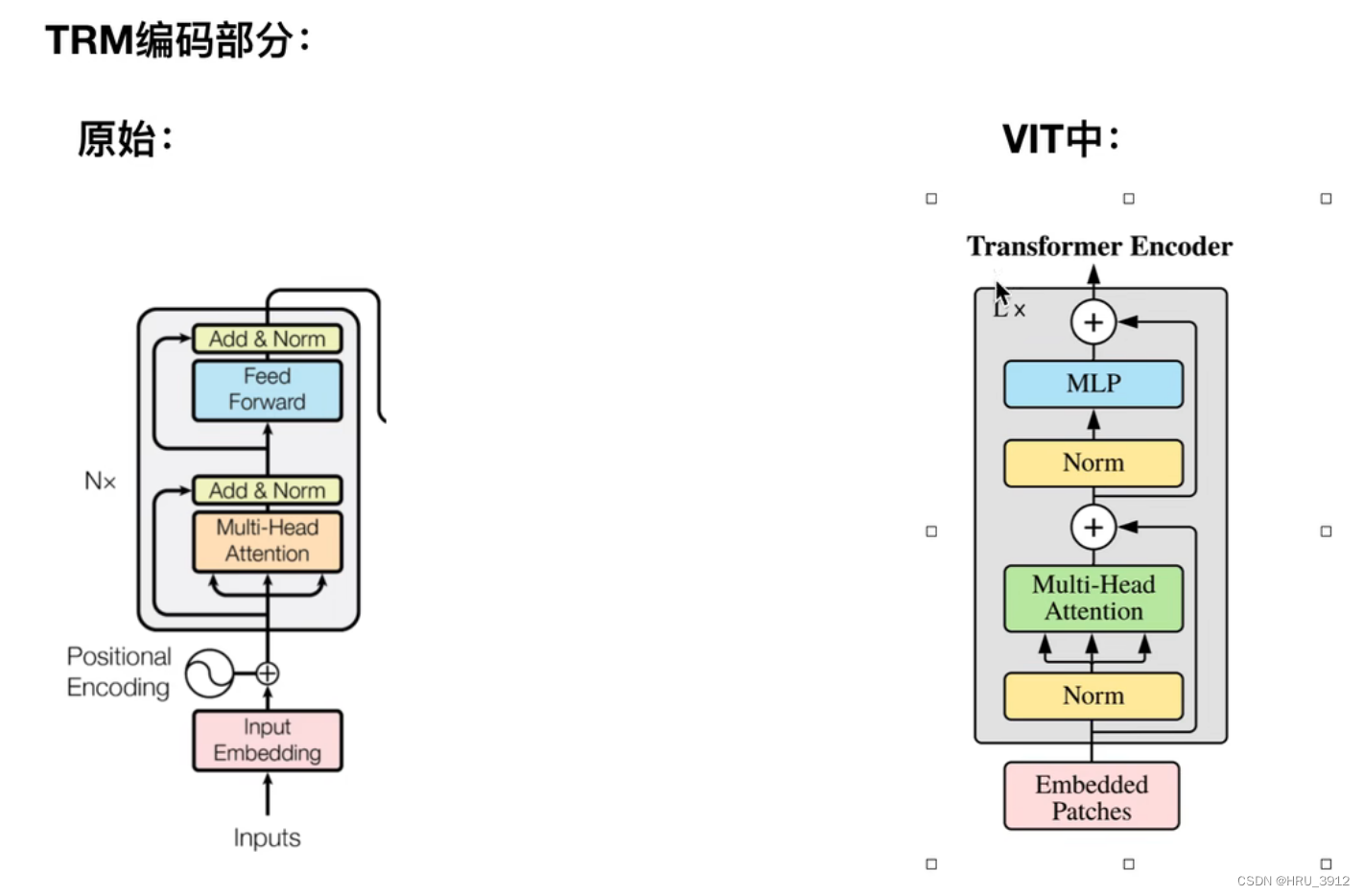 BERT中的位置编码与独立性：NSP、MLM训练详解-CSDN博客
