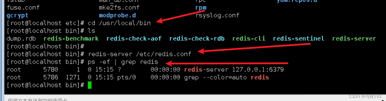 Linux系统下安装Redis6的操作命令_redis6下载安装 linux 进入命令行-CSDN博客