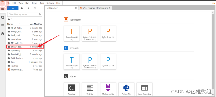 Intel® DevCloud for oneAPI SYCL编程项目实践_intel sycl编程如何编译-CSDN博客