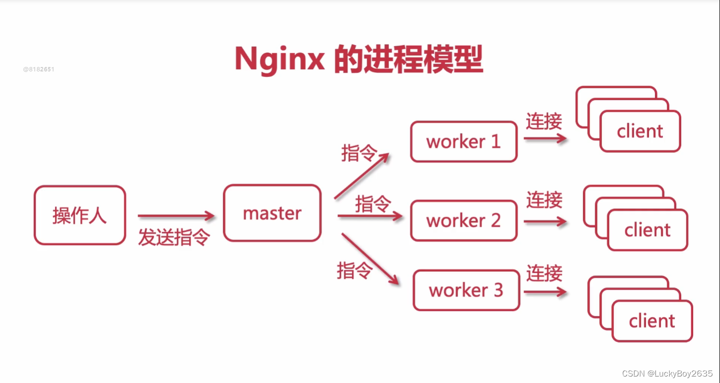 Nginx基础篇_nginx进程主进程是root的work进程101是什么-CSDN博客
