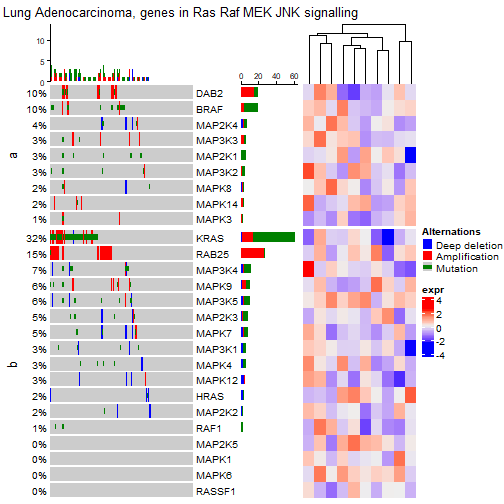 超详细的R语言热图之complexheatmap系列（5）_r complexheatmap 临床特征-CSDN博客