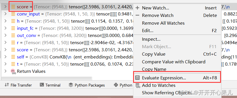 pycharm查看Tensor的完整数据_pycharm dubug查看tensor怎么没有省略号-CSDN博客