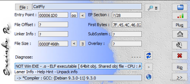 攻防世界-re-CatFly_攻防世界 catfly-CSDN博客