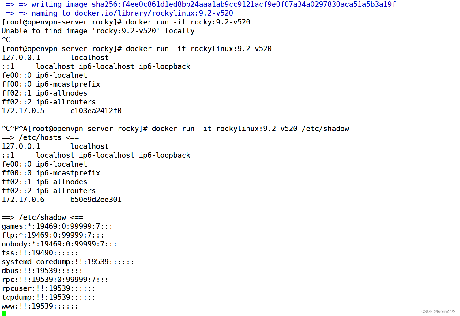 kvm虚拟化&docker容器_kvm和docker在一台机器上部署会冲突嘛-CSDN博客