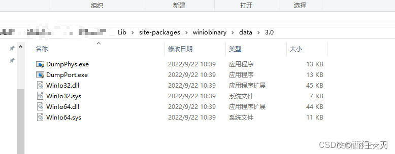 python winio的驱动级按键模拟_pywinio-CSDN博客
