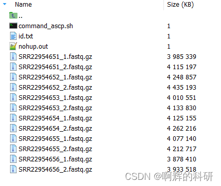 Linux系统上安装aspera并用其批量高速下载转录组数据_aspera安装-CSDN博客