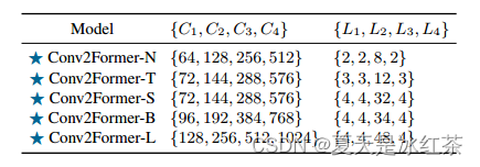 Conv2Former模型详解（一种transformer风格的卷积特征提取方式）-CSDN博客