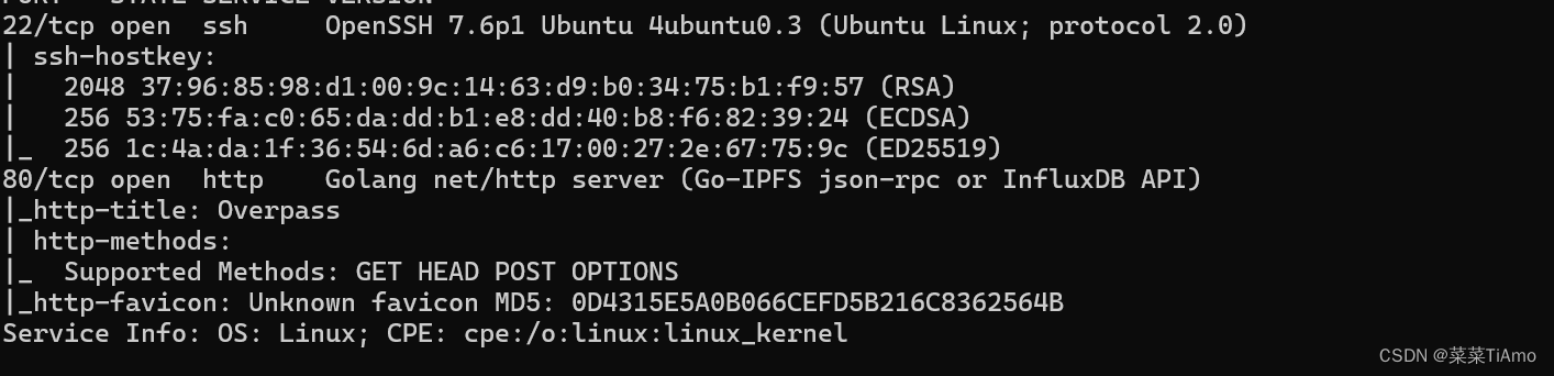 【全网最细】TryHackMe Overpass 题解_tryhackme通关教程-CSDN博客