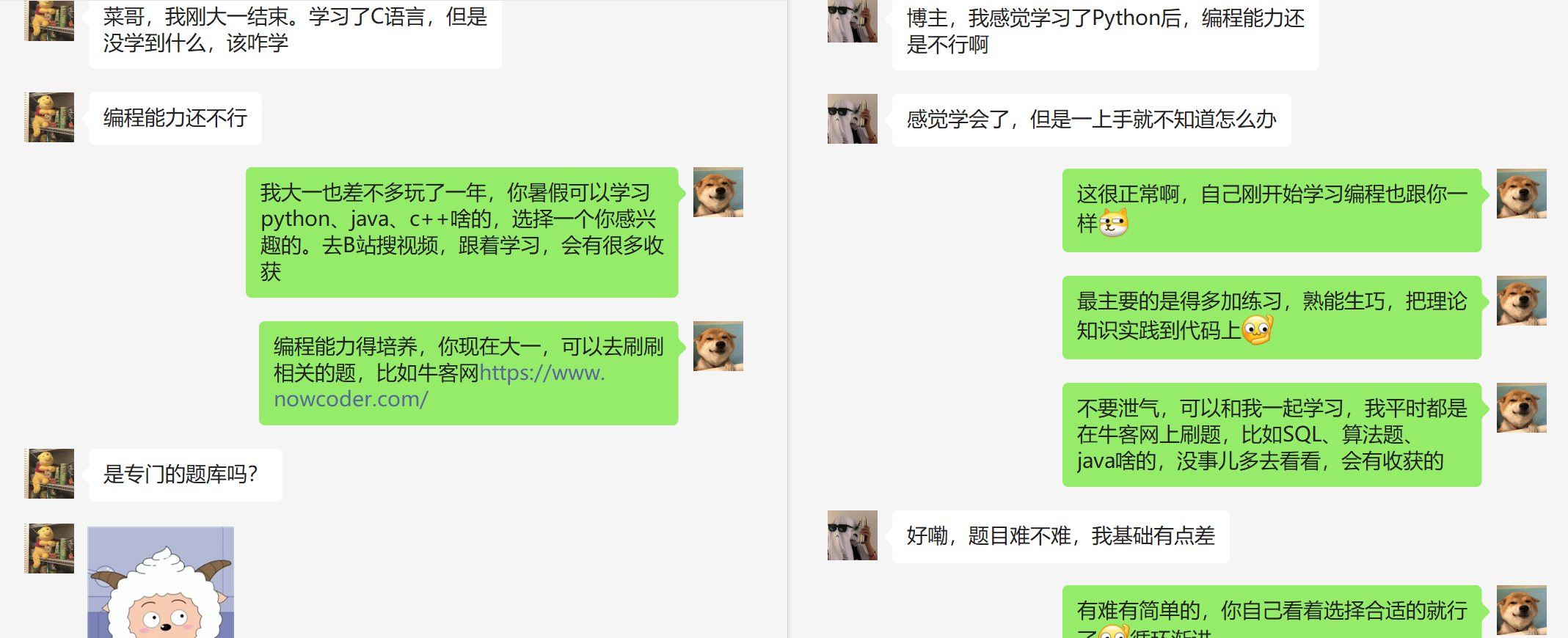 零基础学python之注释、变量、输入输出的使用（手把手带你做牛客网python代码练习题）变量和input语句python有趣练习题 Csdn博客