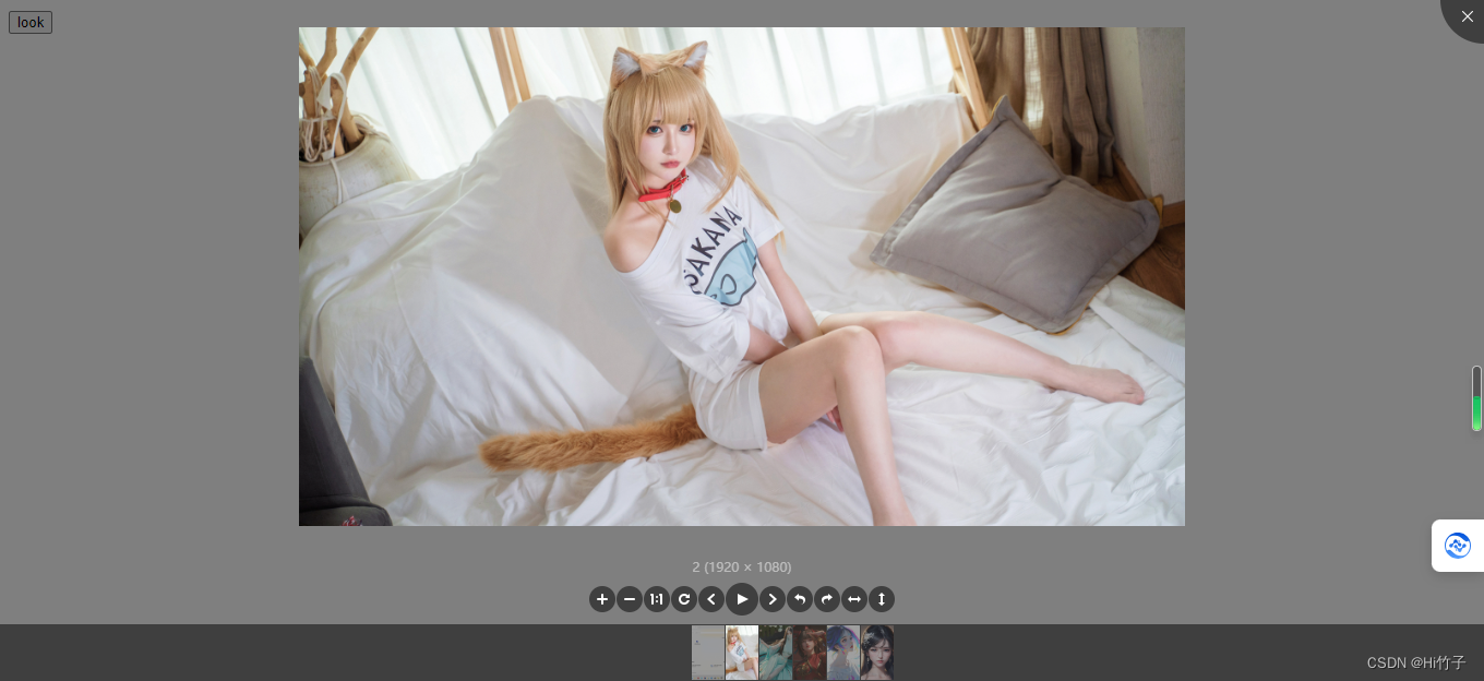 js viewer 图片浏览器_viewerjs 删除-CSDN博客