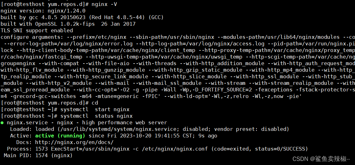 详解Nginx：高性能Web服务器与部署策略,-CSDN博客