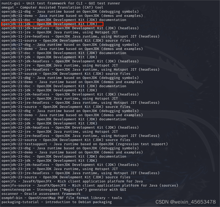 kali linux 安装java11_kali安装java-CSDN博客