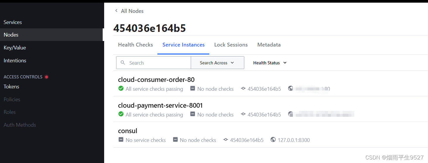 微服务之Consul 注册中心介绍以及搭建-CSDN博客