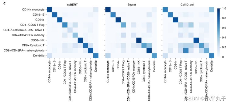 论文阅读：scBERT as a large-scale pretrained deep language model for cell ...