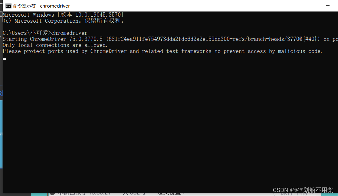Chrome Driver的配置_chromedriver配置-CSDN博客