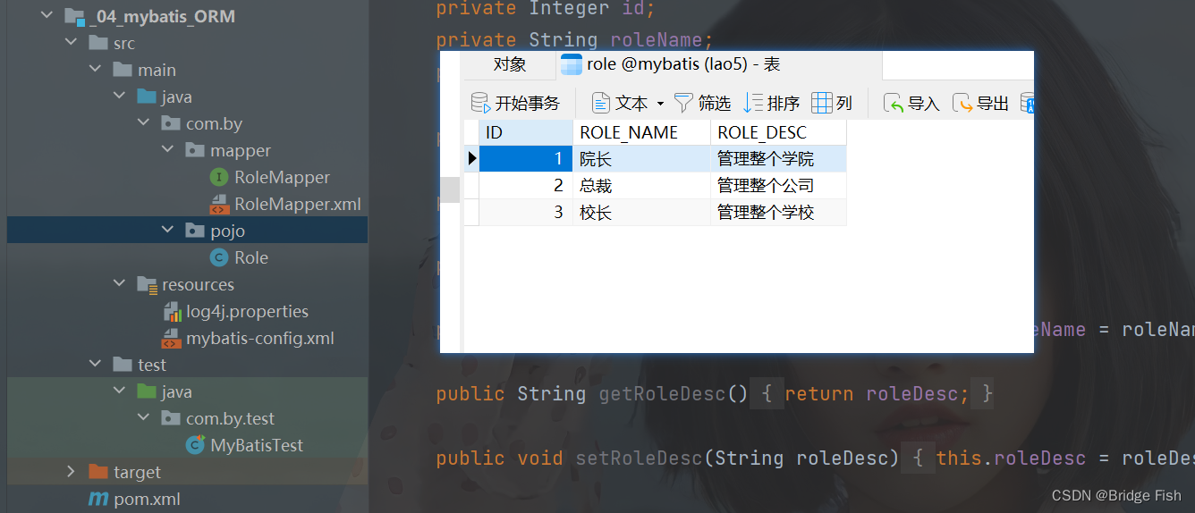 MyBatis ORM映射-CSDN博客