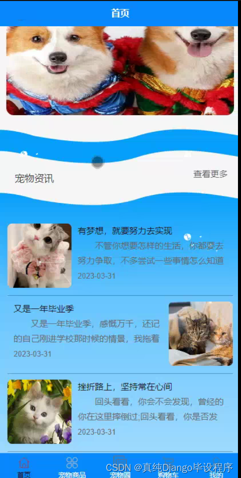 【附源码】基于flask框架基于微信小程序的宠物商城 小程序端pythonmysql论文基于python Flask框架开发的微信
