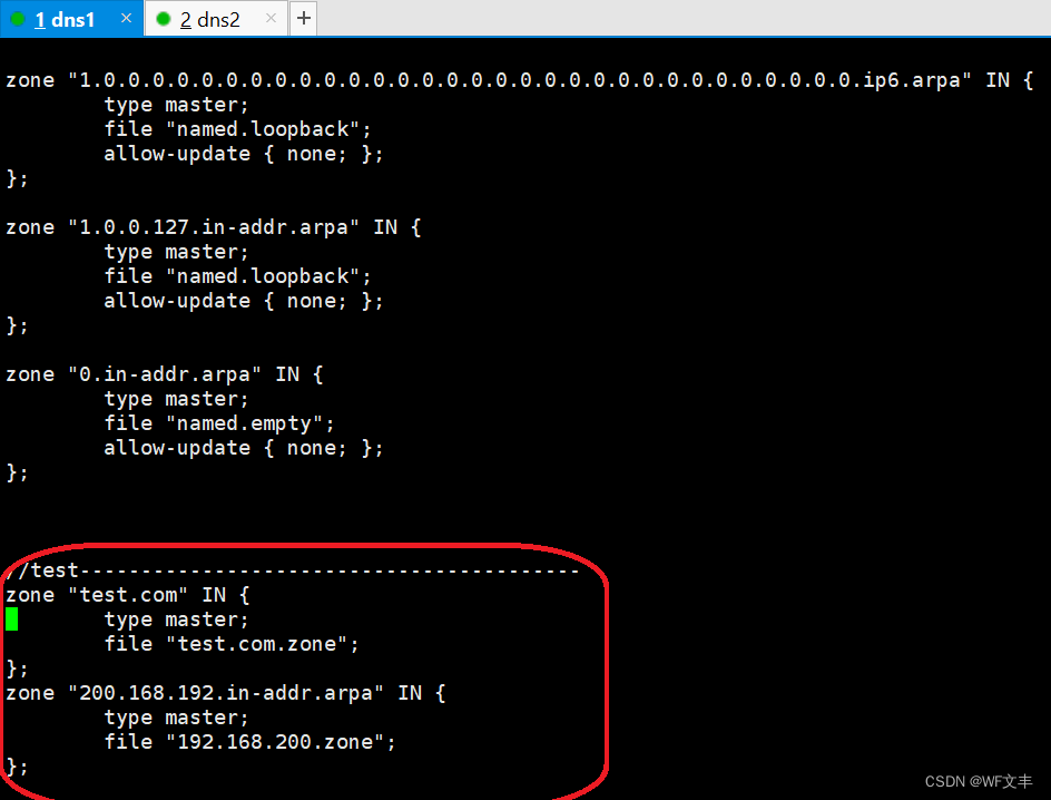 Linux(openEuler、CentOS8)企业内网主备DNS服务器搭建_openeuler dns-CSDN博客