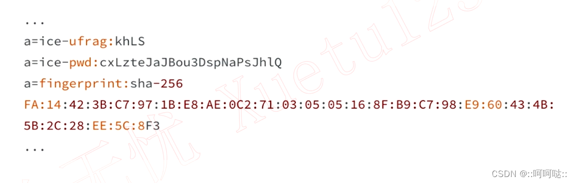 16 DTLS协议-CSDN博客