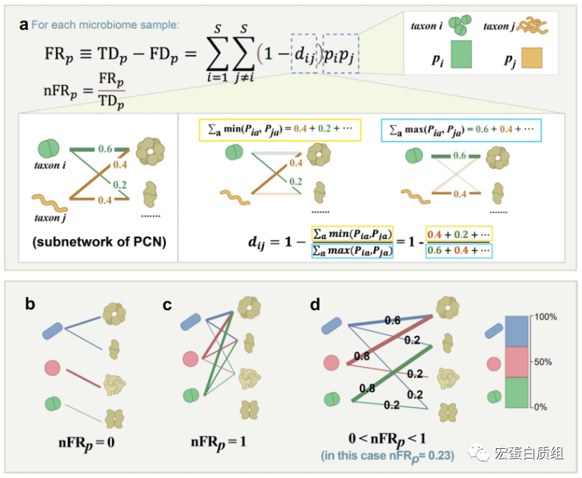 Nat Comms | 深度宏蛋白质组揭示微生物群落蛋白质组水平功能冗余度（连载-1）...-CSDN博客