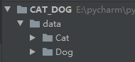 Pytorch-猫狗分类实战（上）_1、用pycharm运行猫狗分类程序,截图显示程序训练界面。 2、以编译方式调试猫狗分-CSDN博客