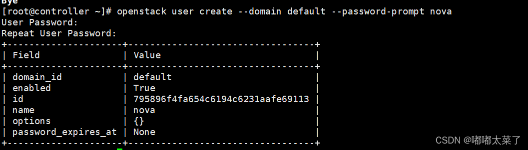 【Openstack Train安装】九、Nova安装-CSDN博客