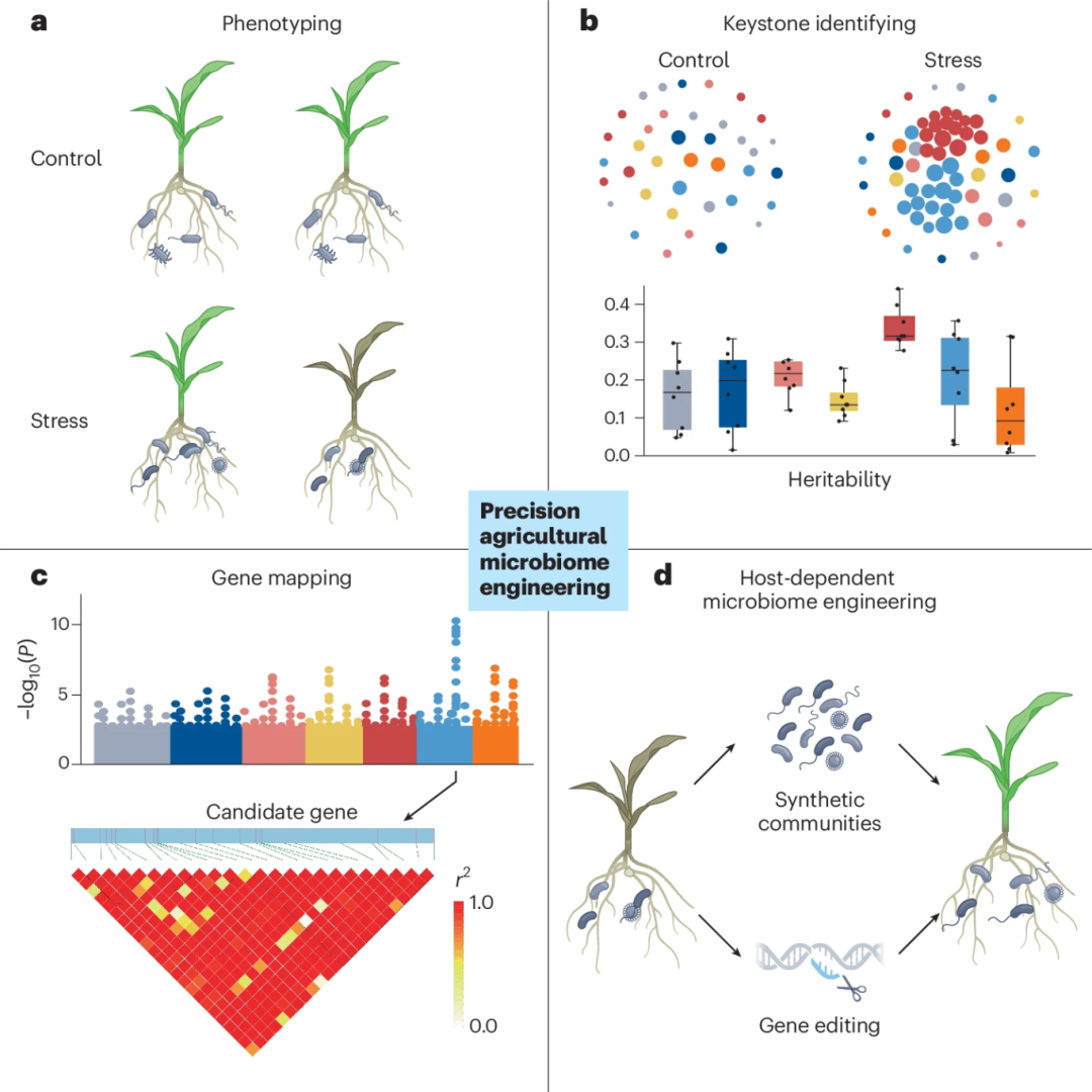 Nature Plants | 王二涛团队应邀撰写农业精准微生物组（PAME）评述论文-CSDN博客