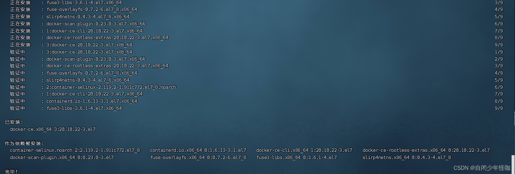 Linux 安装docker_docker dockstation-CSDN博客