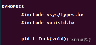 初学-Linux多进程-fork()；vfork()、wait...；system等函数的使用_fork命令-CSDN博客