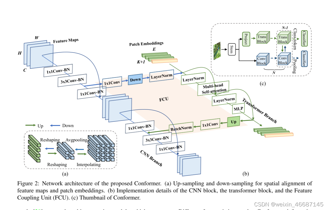 Conformer: Local Features Coupling Global Representations for Visual Recognition-CSDN博客