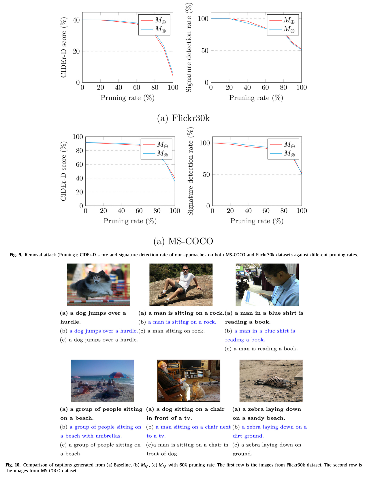 论文研读｜Protect, show, attend and tell: Empowering image captioning models with ownership ...