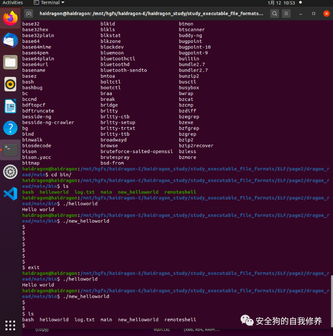 Elf文件注入shellcode原理与实现elf和shellcode Csdn博客
