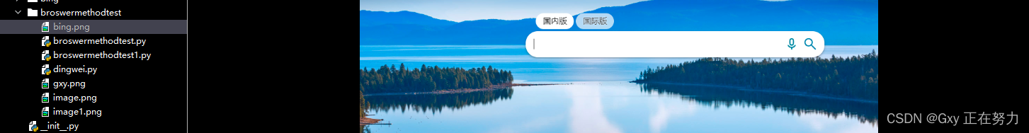 Python Selenium WebDriver 环境搭建 测试bing篇_python selenium bing-CSDN博客