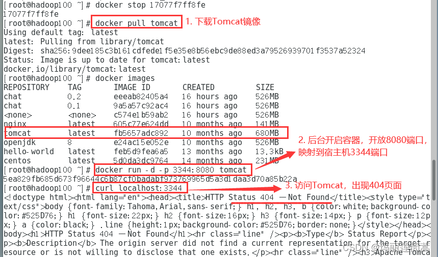 Docker（四）—— 部署nginx、tomcatdocker 部署nginx 并代理宿主机的tomcat Csdn博客