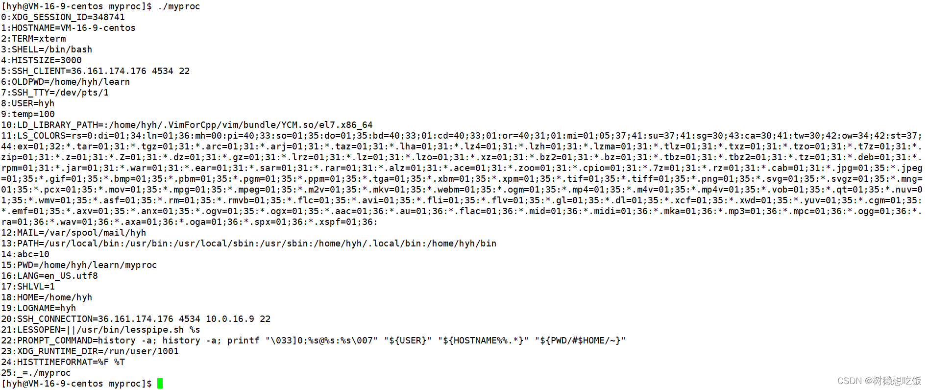 走进Linux——进程(三)优先级与环境变量_linux environ-CSDN博客
