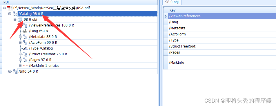 结合编辑器和PDFXplorer工具查看PDF文件结构-CSDN博客