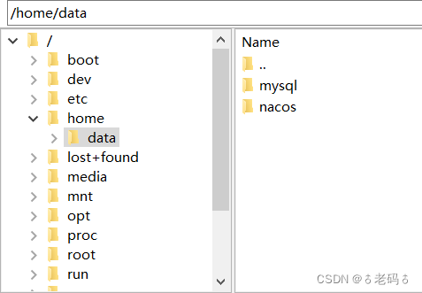 数据库连接异常Nacos Server did not start because dumpservice bean construction failure : No DataSource ...
