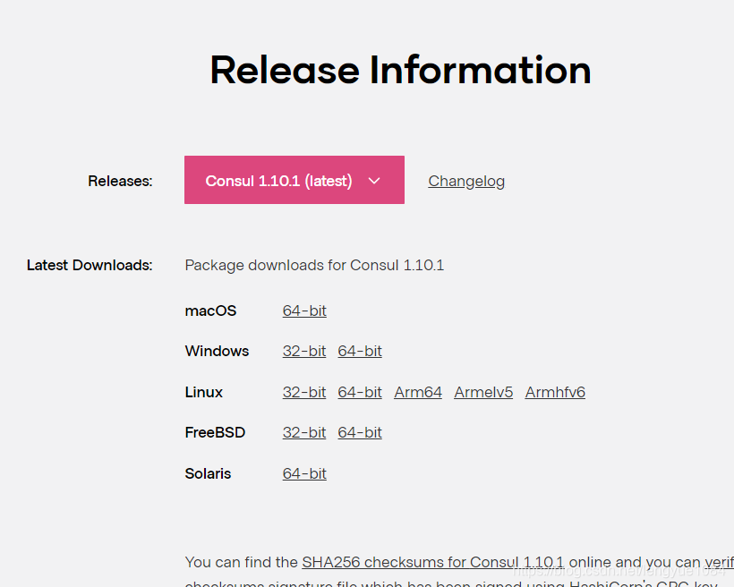 windows下安装consul_consul v1.10.1 windows-CSDN博客