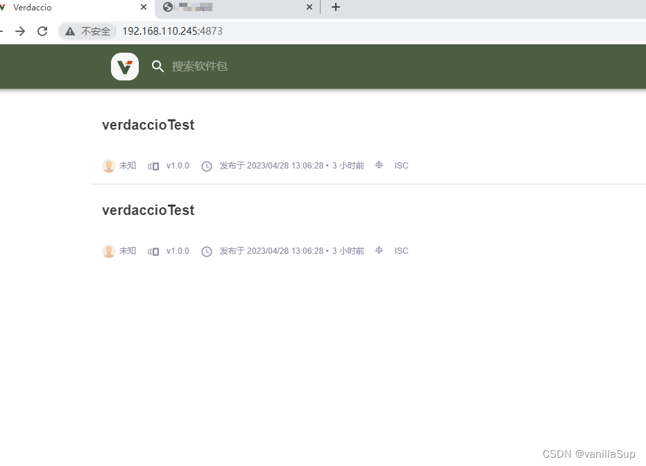 使用verdaccio搭建npm私有仓库_verdaccio删除包-CSDN博客