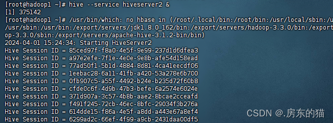 Linux教程（7）----[Hive连接方式（本文梳理与Datagrip连接）]_hive 连接工具-CSDN博客