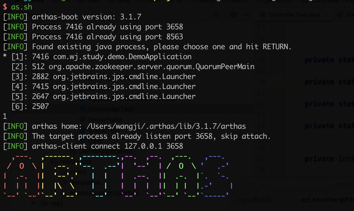 arthas idea插件的使用_idea arthas-CSDN博客