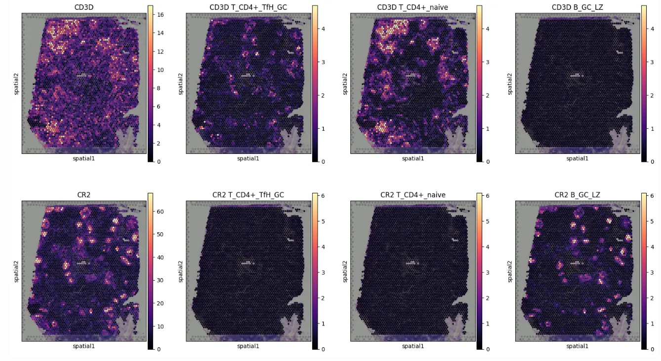 10X单细胞空间联合分析之再次解读cell2location-CSDN博客
