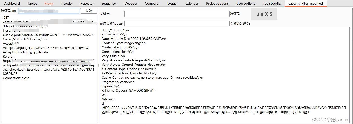 Brup+Captcha-killer+ddddocr实现验证码识别_ddddocr burp-CSDN博客