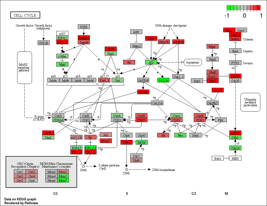 Pathview包教程|1.认识和入门-CSDN博客