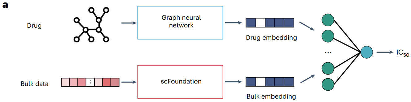 nature methods | 单细胞转录组学的大基础模型scFoundation（宋乐/张学工/马剑竹）_large-scale foundation model on single ...