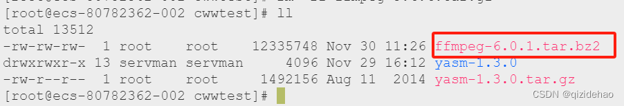 Linux安装ffmpeg遇到的一些坑_linux_qizidehao-魔乐社区