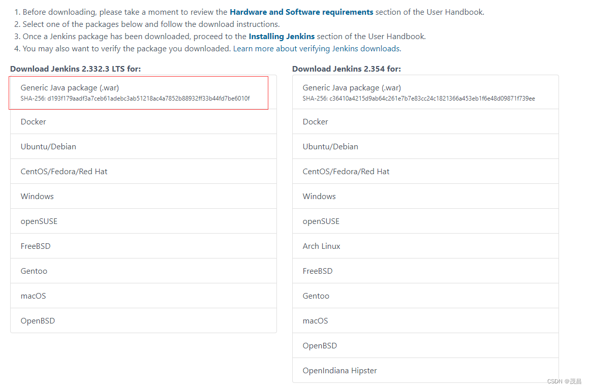 Linux下安装Jenkins_linux如何下载jenkins.war-CSDN博客